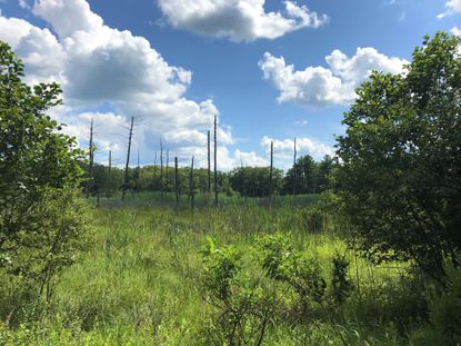 Hillside Environmental Education Park | Office of Sustainability