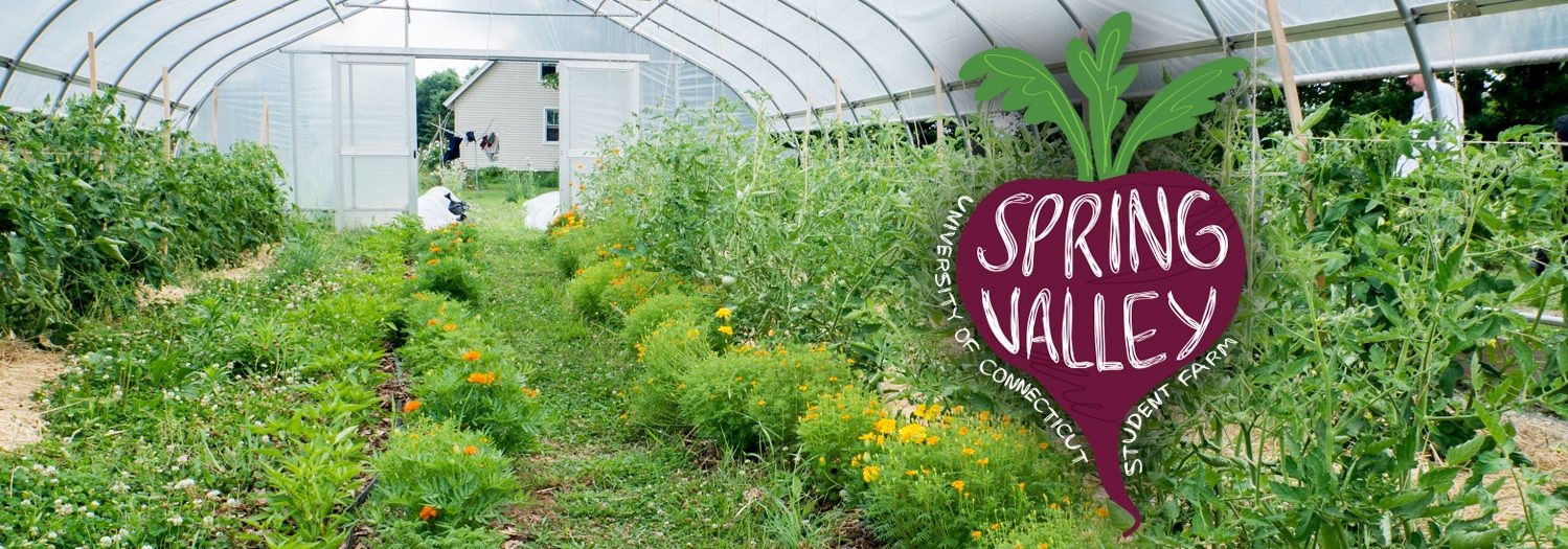 Sustainable Development | Office of Sustainability