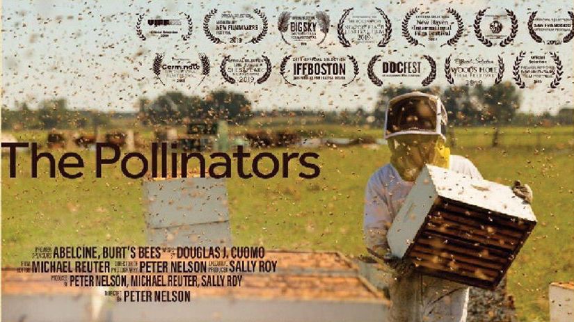 "The Pollinators" Film Screening | Office of Sustainability